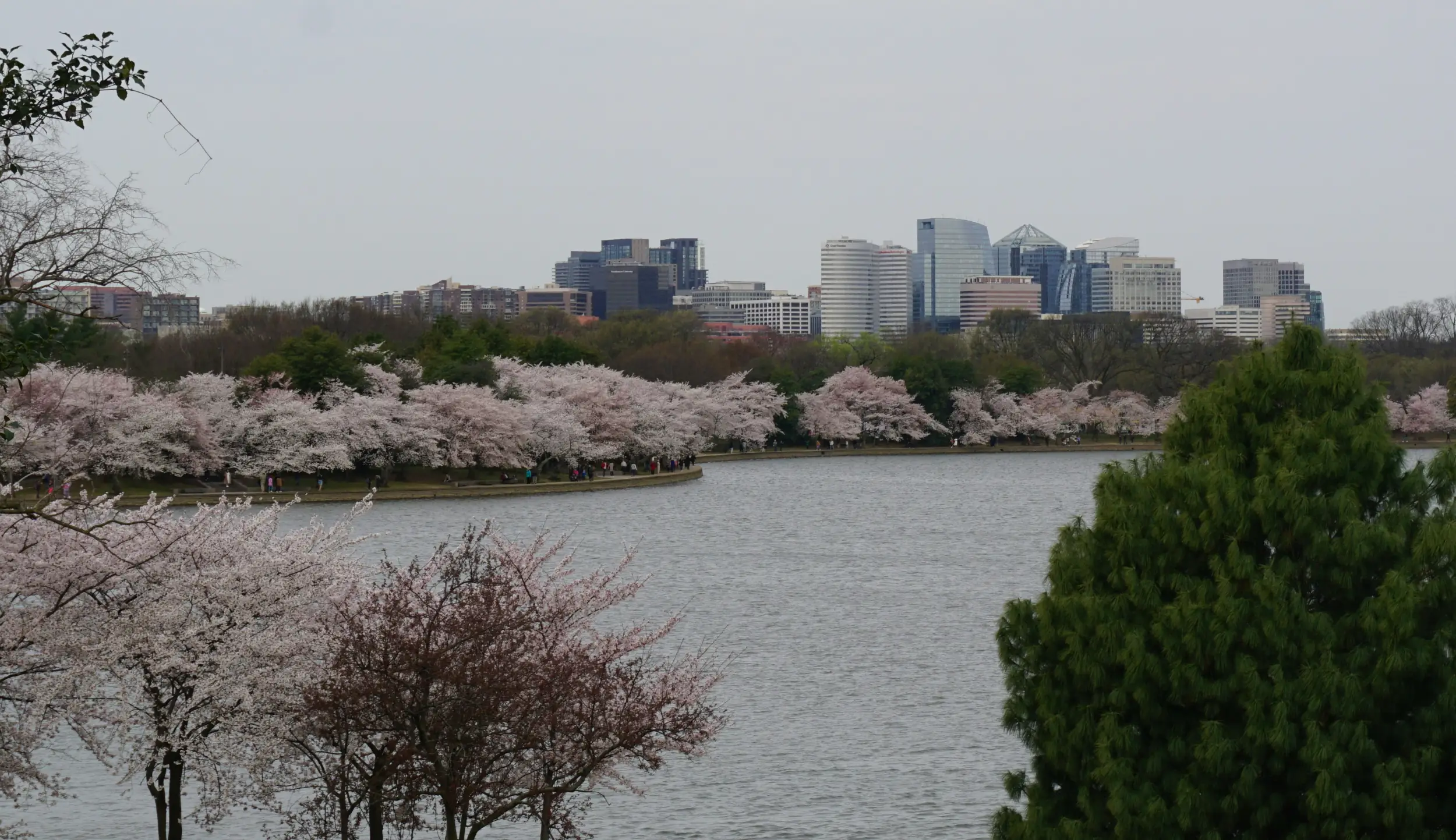 Annual Leadership Summit - America's SBDC